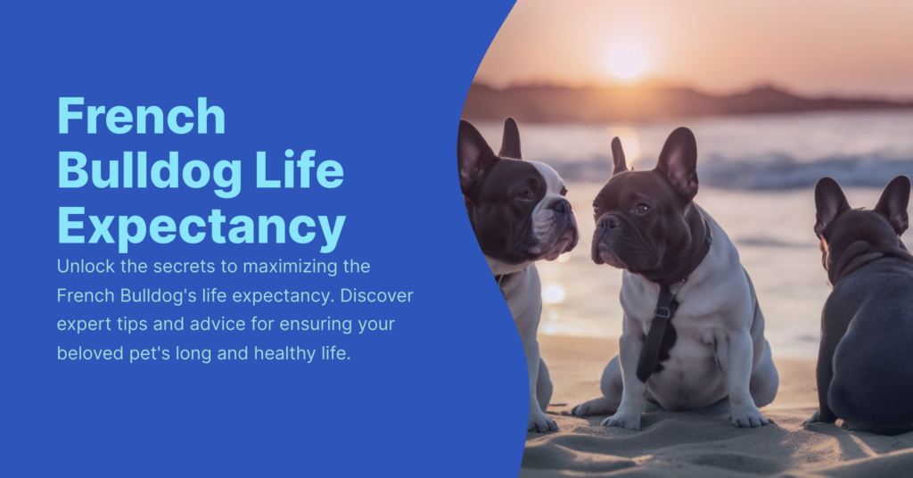 French Bulldog Life Expectancy: Maximizing Longevity and Health - Talk ...